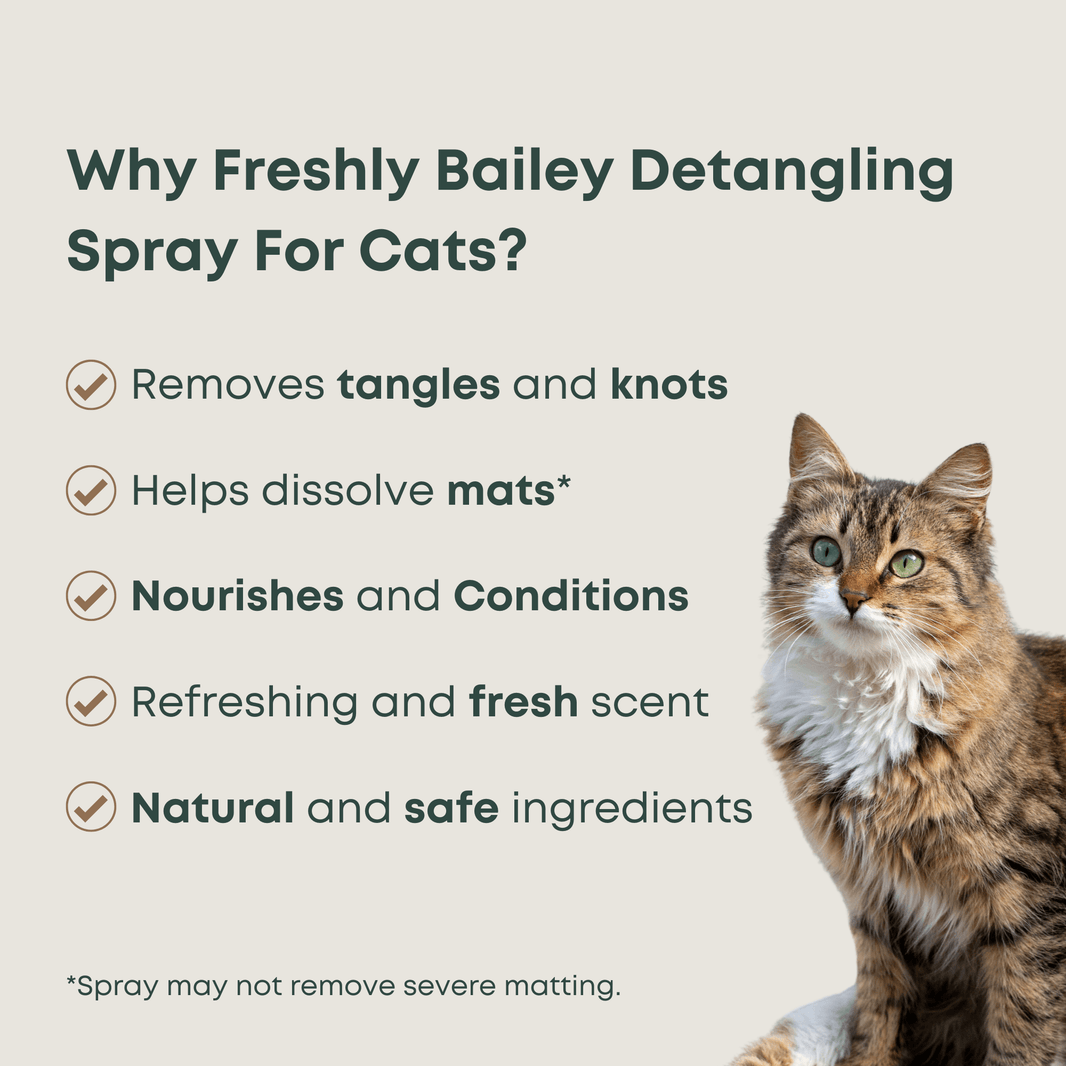Best Cat Grooming Tools | Brushes, Combs & Deshedding Solutions ...